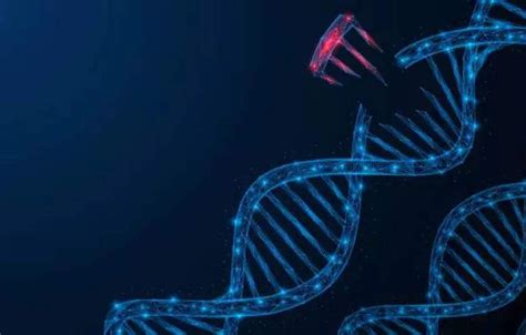Vivek Misra On Linkedin Genomic Analysis Uncovers Gene Variants Linked