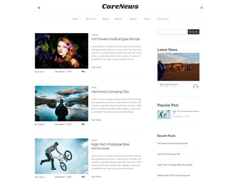 Core News WordPress Theme WordPress Org