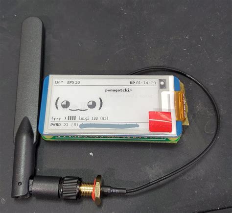 Pwnagotchi Deep Reinforcement Learning Instrumenting Bettercap For