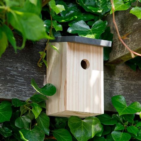 Bird Boxes For Small Birds Gardenature