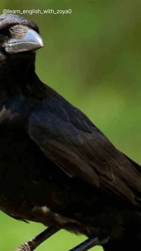 English Speaking ️फ्री फ्री फ्री ️ हमारा स्पेशल इंग्लिश स्पोकन कोर्स नोट्स Spoken Chat