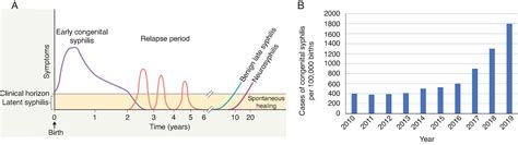 Congenital Syphilis Clinical Tree