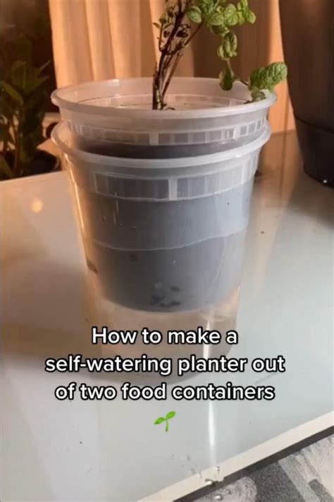 Diy Automatic Watering System For Indoor Plants How Can This