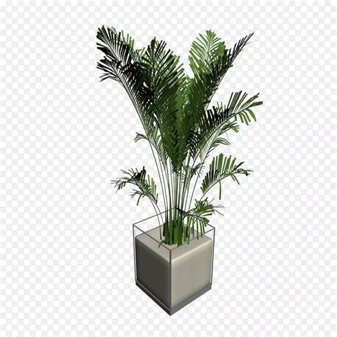 Png Png