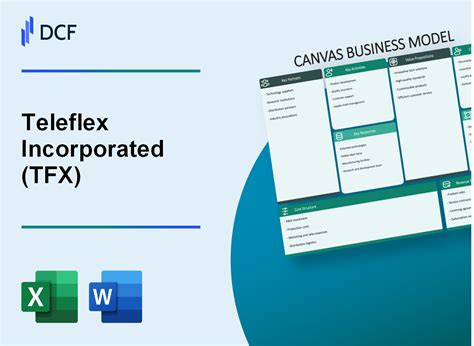 Teleflex Incorporated Tfx Business Model Canvas