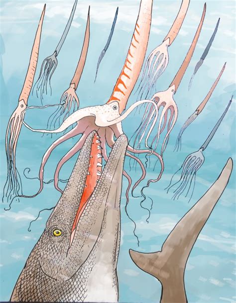 Fossil Of Mosasaur With Bizarre ‘screwdriver Teeth Found In Morocco Ancient Pages