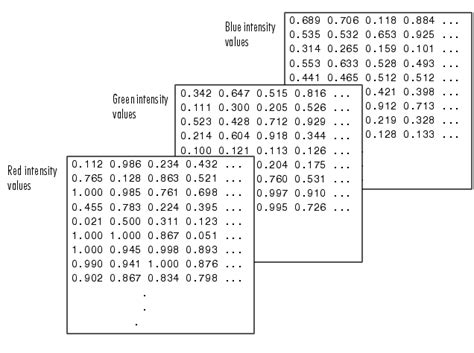 structures and cell arrays programming and data types