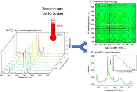 Chemosensors Free Full Text Applying Two Dimensional Correlation