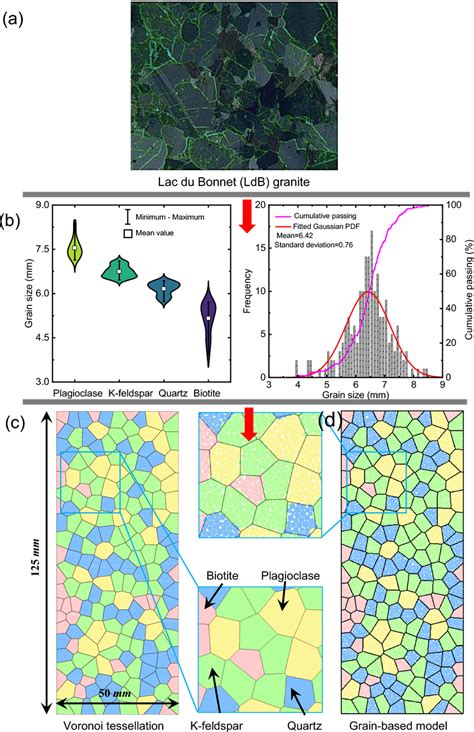 Procedure Of Generating Voronoi Tessellations Based On Laboratory Download Scientific Diagram