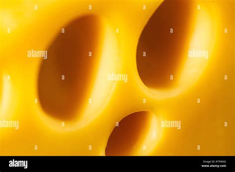 Holes In Swiss Cheese Caused By At Luca Waldock Blog