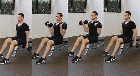 Zottman Curl The Optimal You Online Personal Trainers And Holistic Nutrition