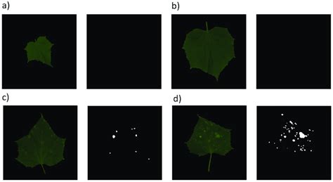 Segmentation Masks The Masks Which Are Produced By A U Net Download Scientific Diagram