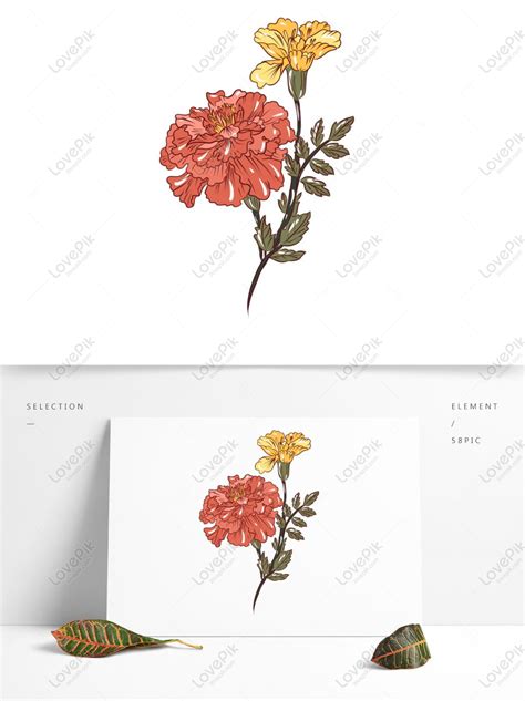 손으로 그린 식물 손으로 그린 꽃 전통적인 꽃 상업 일러스트 Png 및 벡터 이미지 무료 다운로드 Lovepik