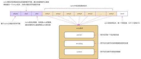 【2024最新版，redis7】redis底层的10种数据结构redis最新版本中的数据结构 Csdn博客