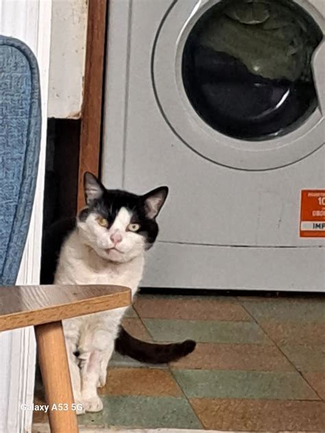 Definitely Getting Braver I Know His Special Hiding Place Now He