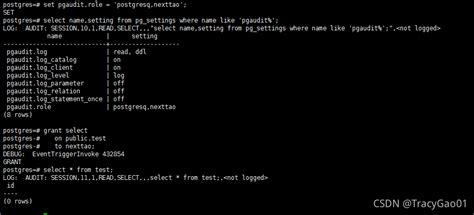 postgresql审计：pgaudit安装使用 pgaudit 安装教程 csdn博客