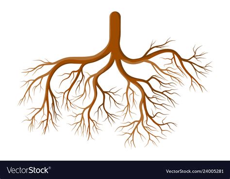 Tree Roots Clipart Cartoon Tree With Roots Vector Tree Roots Clipart My XXX Hot Girl