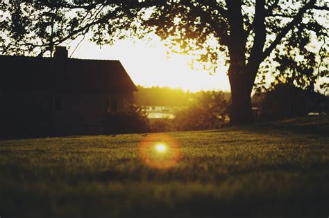 배경 화면 햇빛 가을 일몰 밤 자연 반사 잔디 공원 해돋이 노랑 저녁 아침 태양 정경 보케 스웨덴 황혼 대낮 Sverige 나무