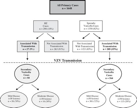 Chickenpox Transmission