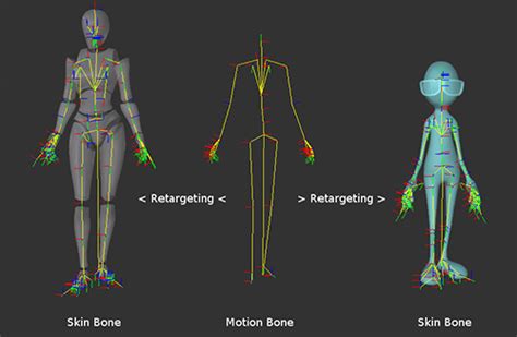 Ic Python Apirlpy Riskeletoncomponent Reallusion Wiki