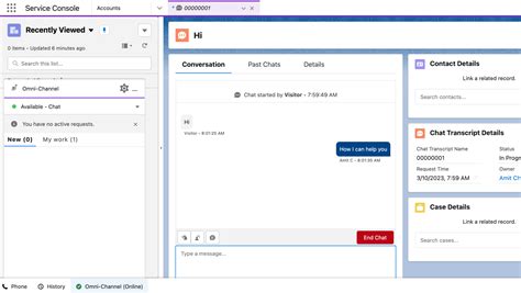 Salesforce Live Web Chat Apex Hours