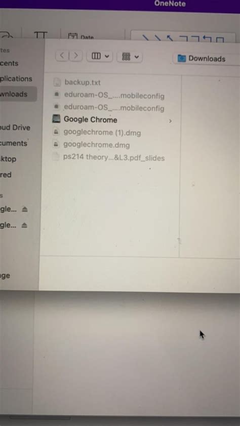 Printout Option Not Available When Inserting Pdf Ronenote