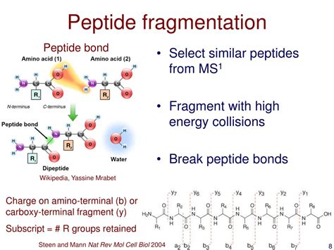 Ppt Mass Spectrometry Based Proteomics Powerpoint Presentation Free Download Id 433696
