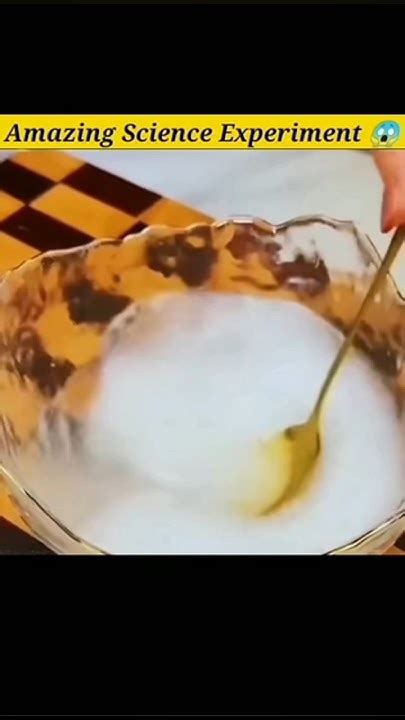 Save Food Scienece Experiment Knowlage Scienece Exploration Leb