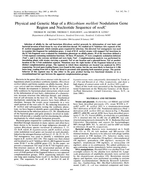 Pdf Physical And Genetic Map Of A Rhizobium Meliloti Nodulation Gene