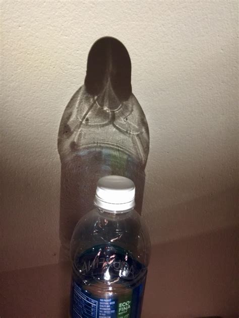 Nsfw The Shadow Of My Water Bottle Looks Like The Head Of A Penis R