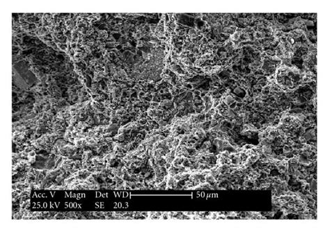 Sem Photograph Of Samples Fracture Download Scientific Diagram