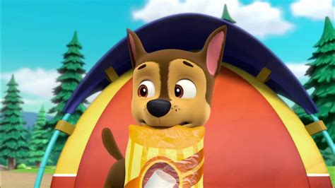 Paw Patrol Full Episodes Pups Save The Gliding Turbots Pups Save A