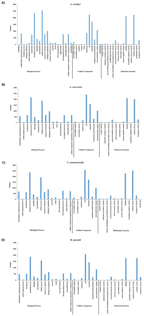 Gene Ontology Classification Into Biological Process Cellular