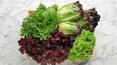 The Best Types Of Lettuce To Experiment Cooking With