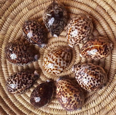 Image Processing In Python With Pillow ~ Python Is Easy To Learn