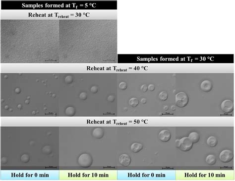 Influence Of Annealing Temperature And Holding Time On The Download Scientific Diagram