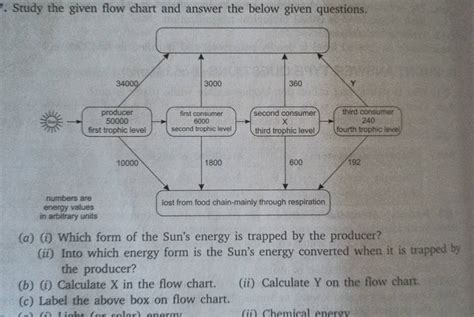 Study The Given Flow Chart And Answer The Below Given Questions A I