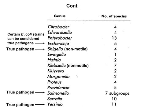 Introduction To Enterobacteriaceae Ppt 1ppt