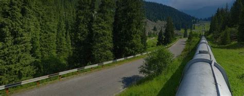 Esg Data Analytics A 2023 Guide Veriforce