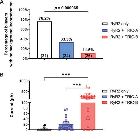 Figure 7 From The Biophysical Properties Of Tric A And Tric B And Their