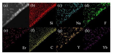 Figure S4 The Element Maps For Si Na F Er C Y And Yb Of Ucnpspdms Download Scientific