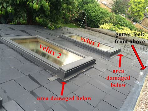 External Diynot Forums