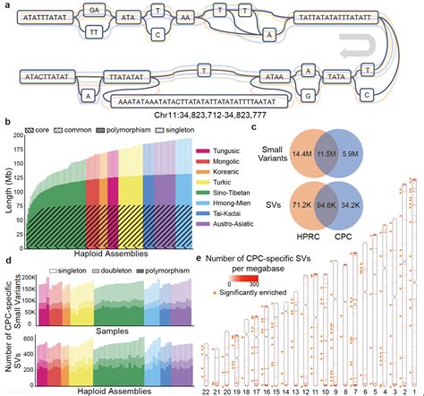 “中国人群泛基因组联盟”一期研究进展发表于《自然》主刊 复旦大学人类表型组研究院