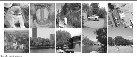 figure 1 from efficient image denoising technique based on modified cuckoo search algorithm