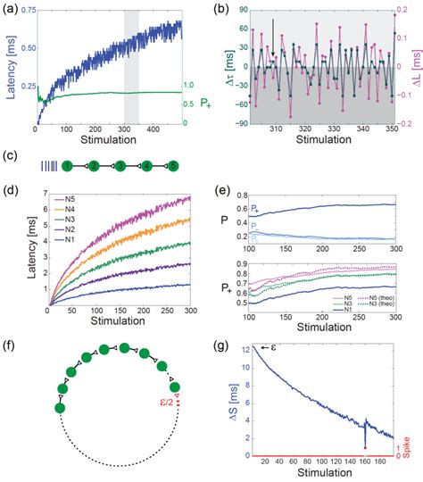 Color Online A The Neuronal Response Latency Stimulated With Download Scientific Diagram