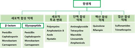 항생제 종류 메디톡