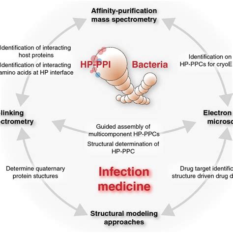 Overview Of Integrative Proteomics Electron Cryo Microscopy And Download Scientific Diagram