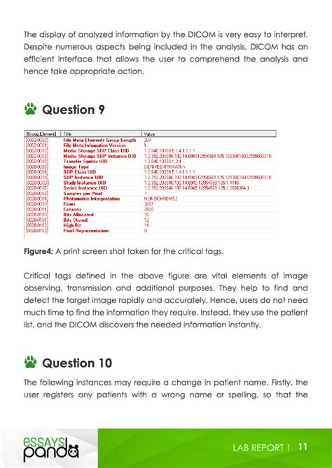 Write My Lab Report Reliable Help Essays