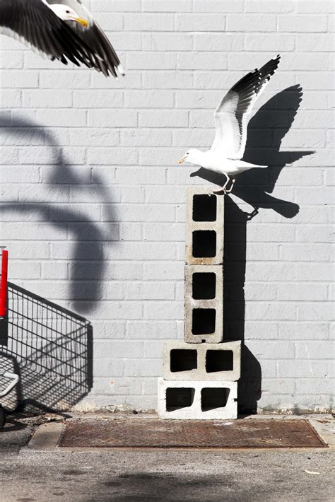 Izaac Encisos Conceptual Street Photography