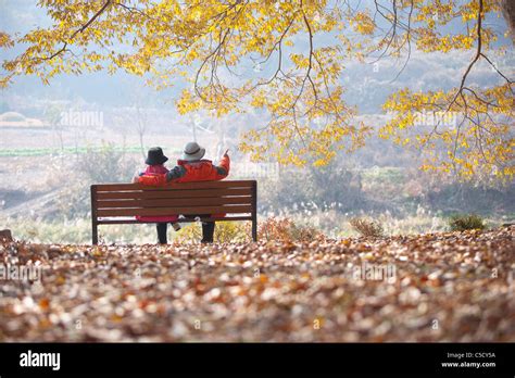 Paar Auf Bank Sitzend Durch Den Herbst Baum Stockfotografie Alamy